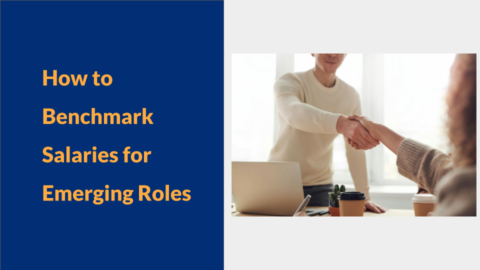 How to Benchmark Salaries for Emerging Roles | WageScape